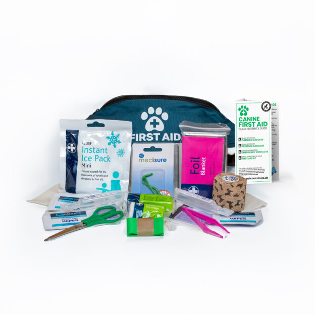 Essential Items for Your Pet’s First Aid Kit (and Why You Need Them ...