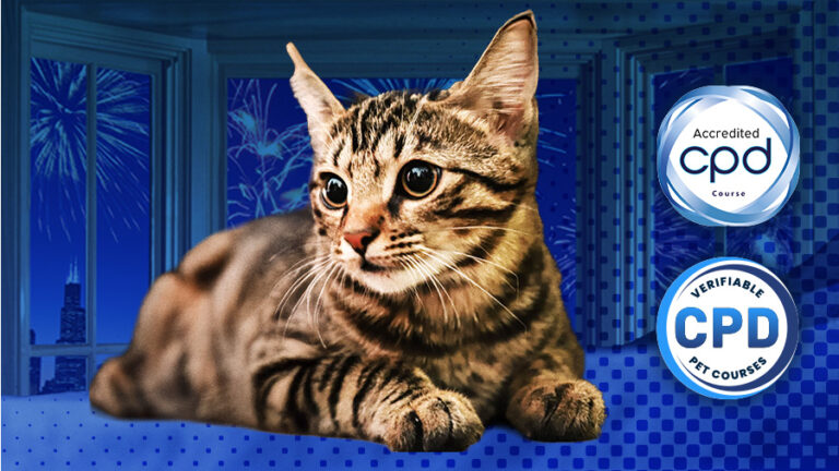 Pet Education and Training Courses - Canine & Feline Distance Learning