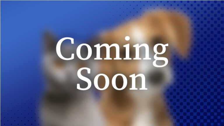 Online Courses - Pet Education and Training