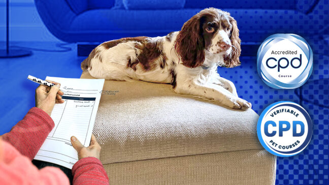 Pet Education and Training Courses - Canine & Feline Distance Learning