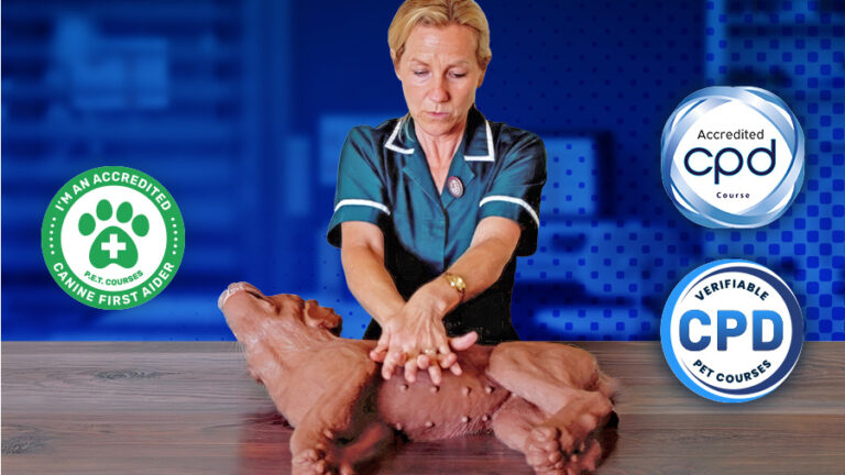 Online Courses - Pet Education and Training